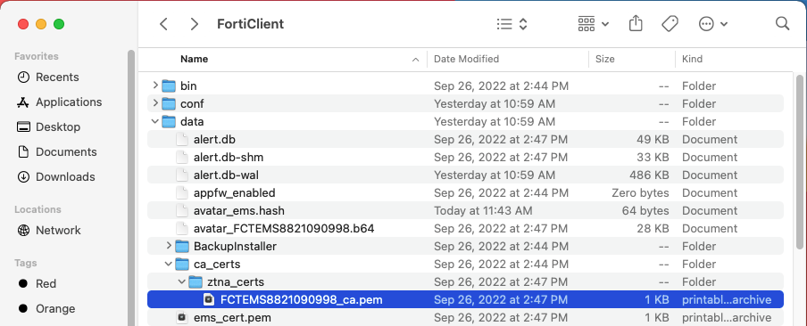Configuring the configuration profile | FortiSASE | Fortinet Document Library